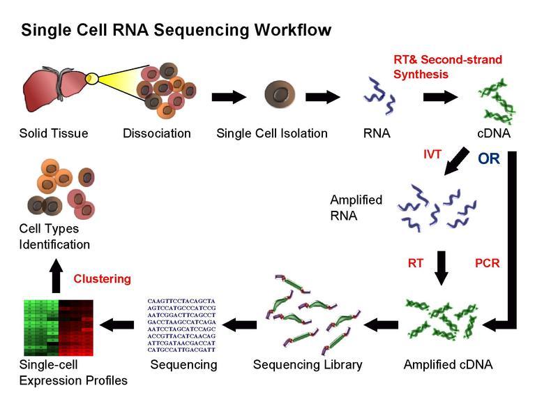单细胞数据分析资源分享 | single-cell RNA-seq专栏 - 知乎