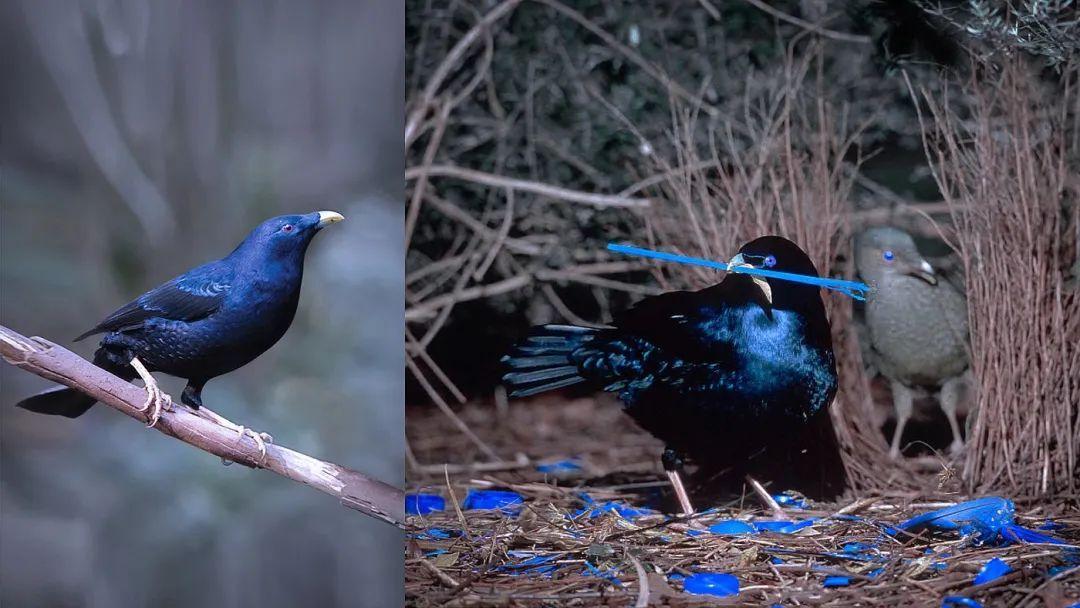 产品分享 | 19例以绿色环保为创作理念的产品设计创意欣赏 - 知乎