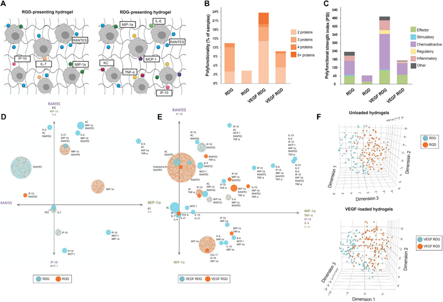 《Science Advances》分析对工程RGD肽/聚乙二醇水凝胶的免疫反应！ - 知乎