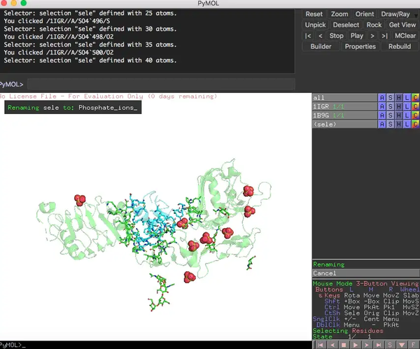 使用 PyMOL 可视化蛋白质-蛋白质对接 - 知乎