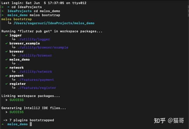 用 Melos 管理多包 Flutter 项目 - 知乎