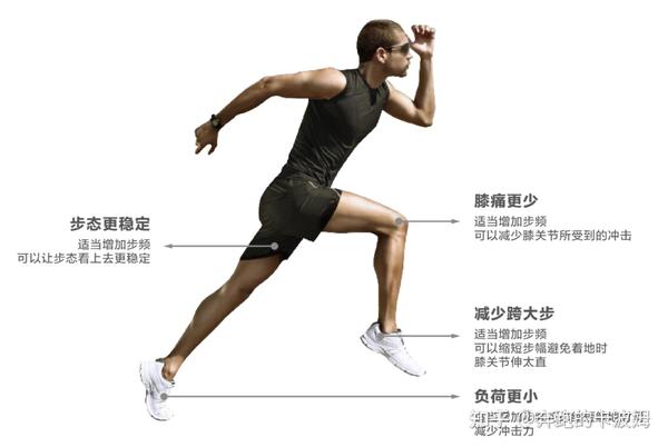 跑者必看——跑步的步频与步幅 知乎