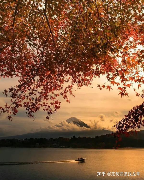 每日冥想：0112 - 知乎