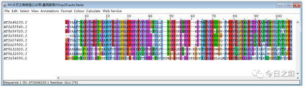 详解多序列比对软件Jalview的使用方法，美化-编辑-自定义设计 - 知乎