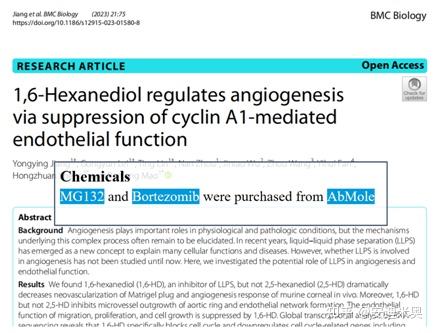 AbMole科研快报-通过抑制细胞周期蛋白A1介导的内皮功能调节血管生成 - 知乎