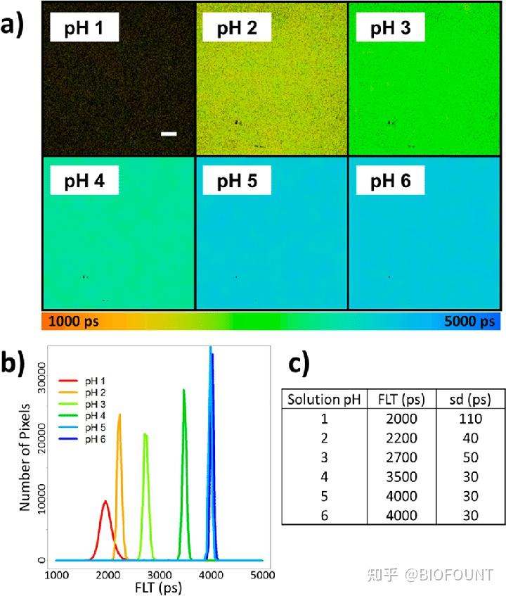 Oregon Green 488,监测酸性细胞器或通路中pH - 知乎