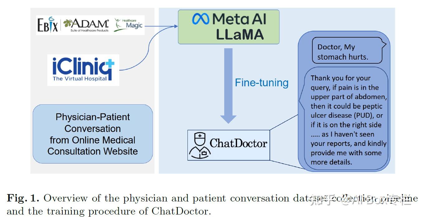 LLM in Medical Domain: 一文速览大语言模型在医学领域的应用 - 知乎