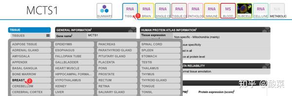 仙桃学术 | 仙桃风单基因乳腺癌MCTS1 - 知乎