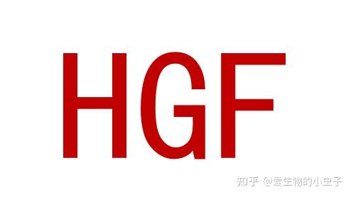 HGF——干细胞培养中的重要因子 - 知乎