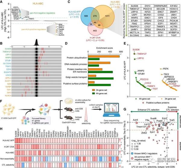 Cell | 纽约大学王俊教授揭示癌症免疫逃避机制，为冷肿瘤治疗提供新的思路和靶点 - 知乎