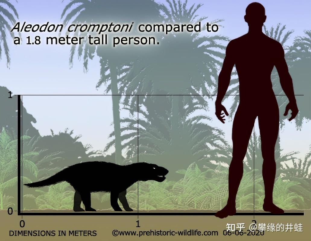 【地球演义】第二百八十二回 百兽图12：黄鼠狼下豆杵子 - 知乎