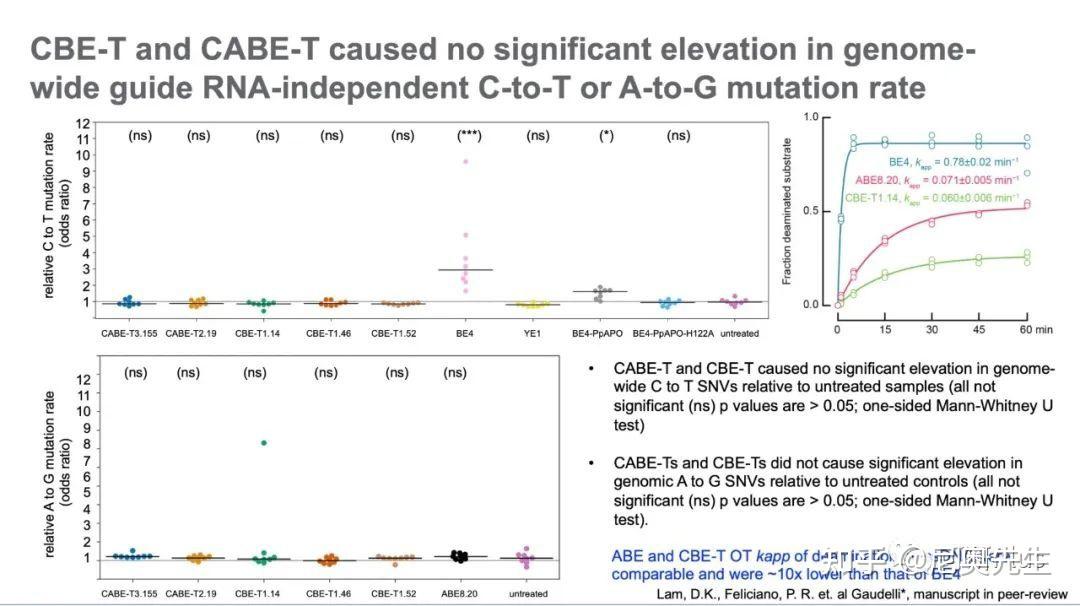 CBE-T：TadA介导的下一代CBE编辑器 - 知乎