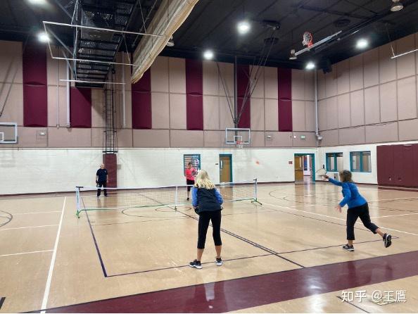 匹克球及美国其它球类运动 - 知乎