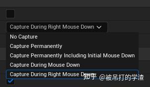 capture mouse是什么东东 - 知乎