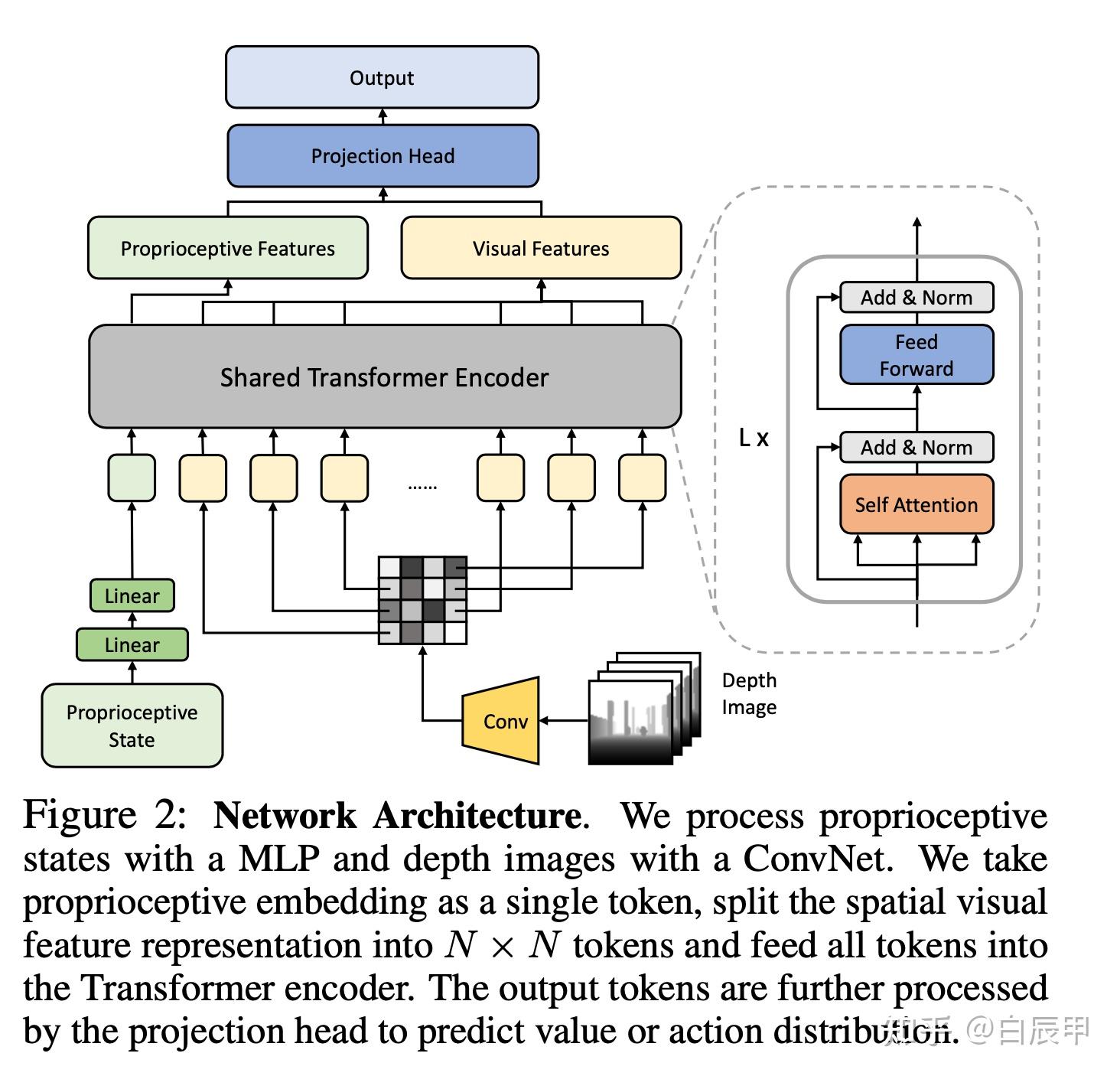 强化学习 & 四足Quadruped - 知乎