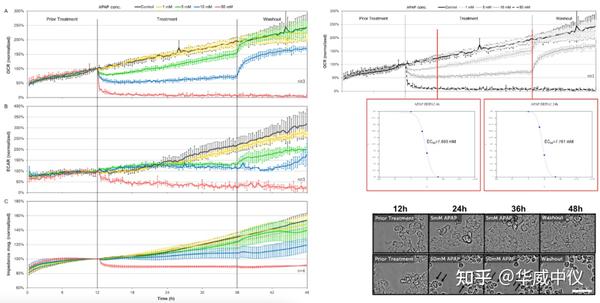 2022年OROBOROS O2k能量代谢相关文章锦集 - 知乎