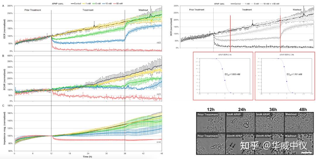 2022年OROBOROS O2k能量代谢相关文章锦集 - 知乎