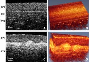 [科普知识]Wasatch Photonics-OCT光谱仪组成与工作原理 - 知乎
