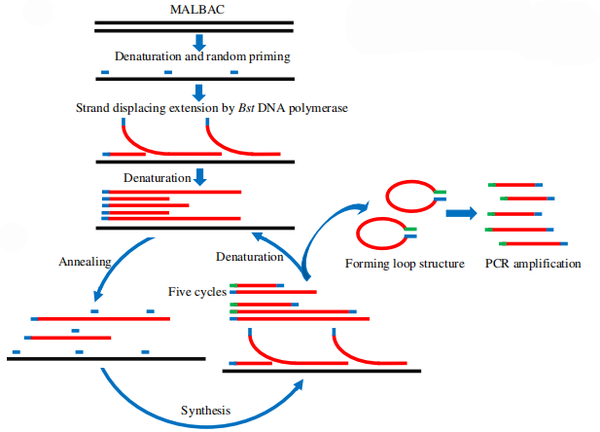 #微观探索人体奥秘# 039 单细胞测序——单细胞全基因组测序 - 知乎