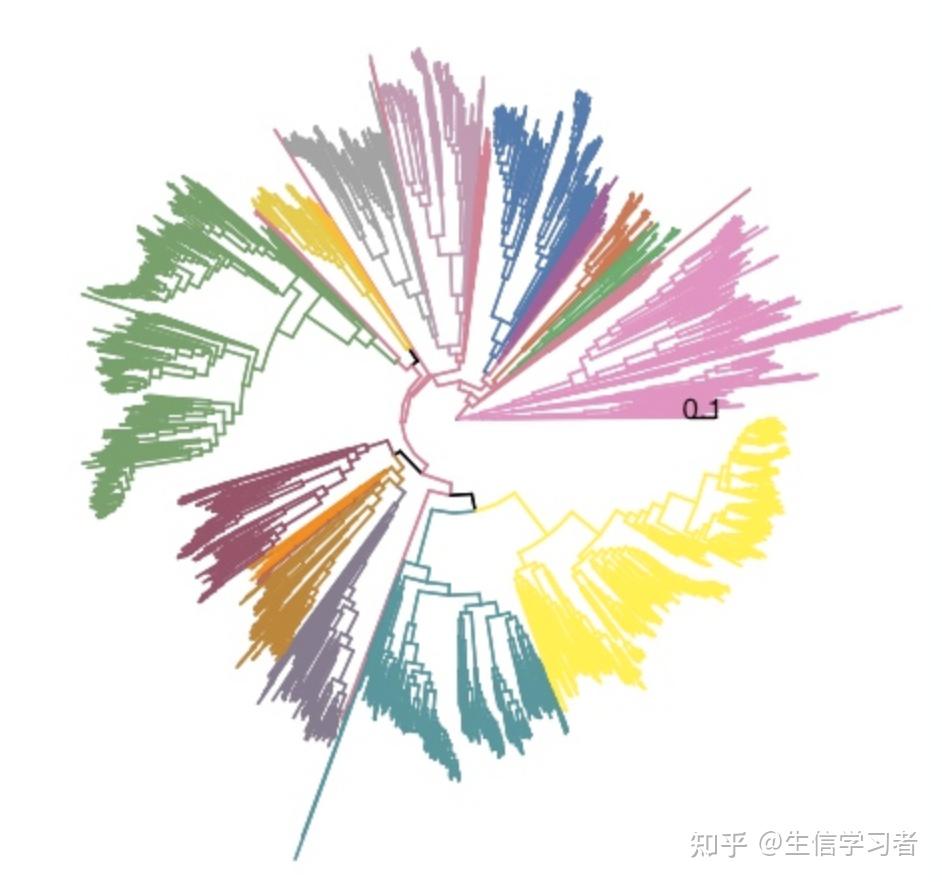 科研绘图系列：R语言绘制微生物物种系统发育树（phylogenetic tree - 知乎
