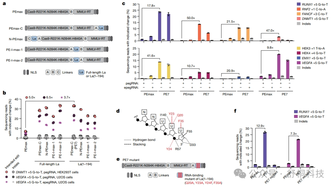 文献分享 | Nature：Prime Editor重磅升级，PE7系统！ - 知乎