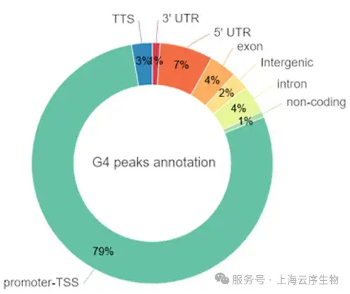 G4 ChIP-Seq - 知乎