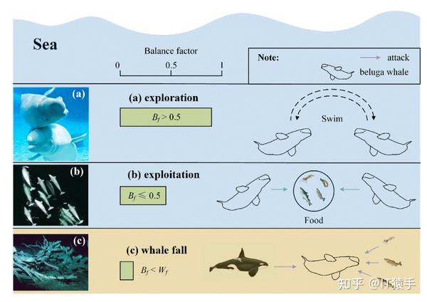 多目标优化算法：多目标白鲸优化算法（multiple Objective Beluga Whale Optimization，mobwo）提供matlab代码 知乎