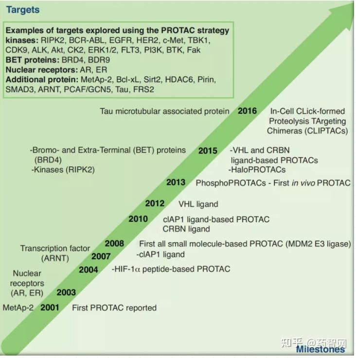 PROTAC燃爆：机制、药物及二十年风云史 - 知乎