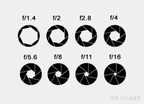 新手入门教程:光圈的使用技巧 知乎