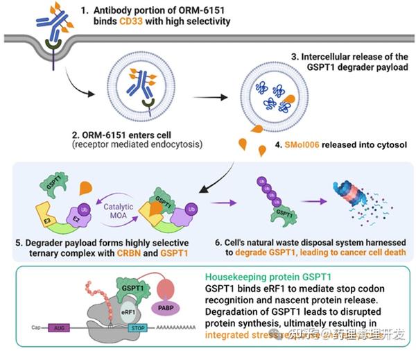 抗体和蛋白降解剂结合能擦出怎样的火花？BMS、Merck和Seagen为何重金入场？能与ADC一较高下吗？ - 知乎