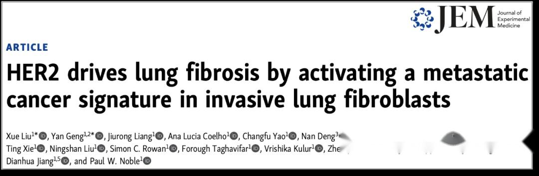 J Exp Med︱蒋典华团队揭示HER2是调控肺成纤维细胞侵袭和肺纤维化新靶点 - 知乎