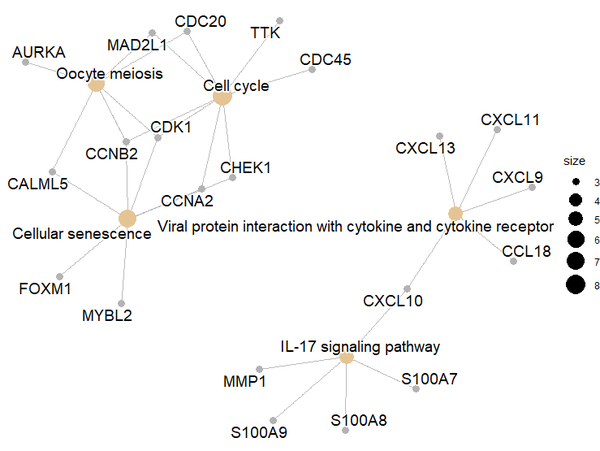 R语言KEGG信号通路富集分析（enrichplot、ggplot2、pathview绘图） - 知乎