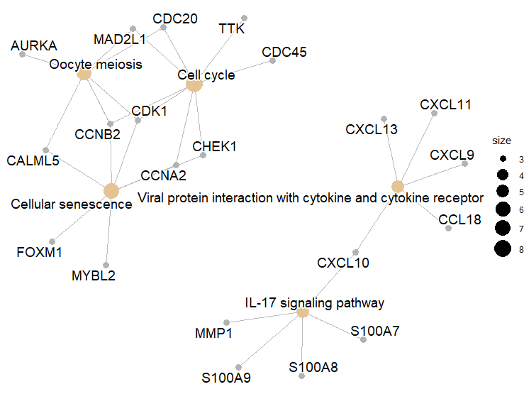 R语言KEGG信号通路富集分析（enrichplot、ggplot2、pathview绘图） - 知乎