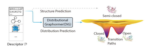 Distributional Graphormer：从分子结构预测到平衡分布预测 - 知乎