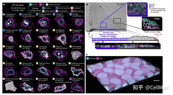 2023年1~3月Nature期刊精华汇总 - 知乎