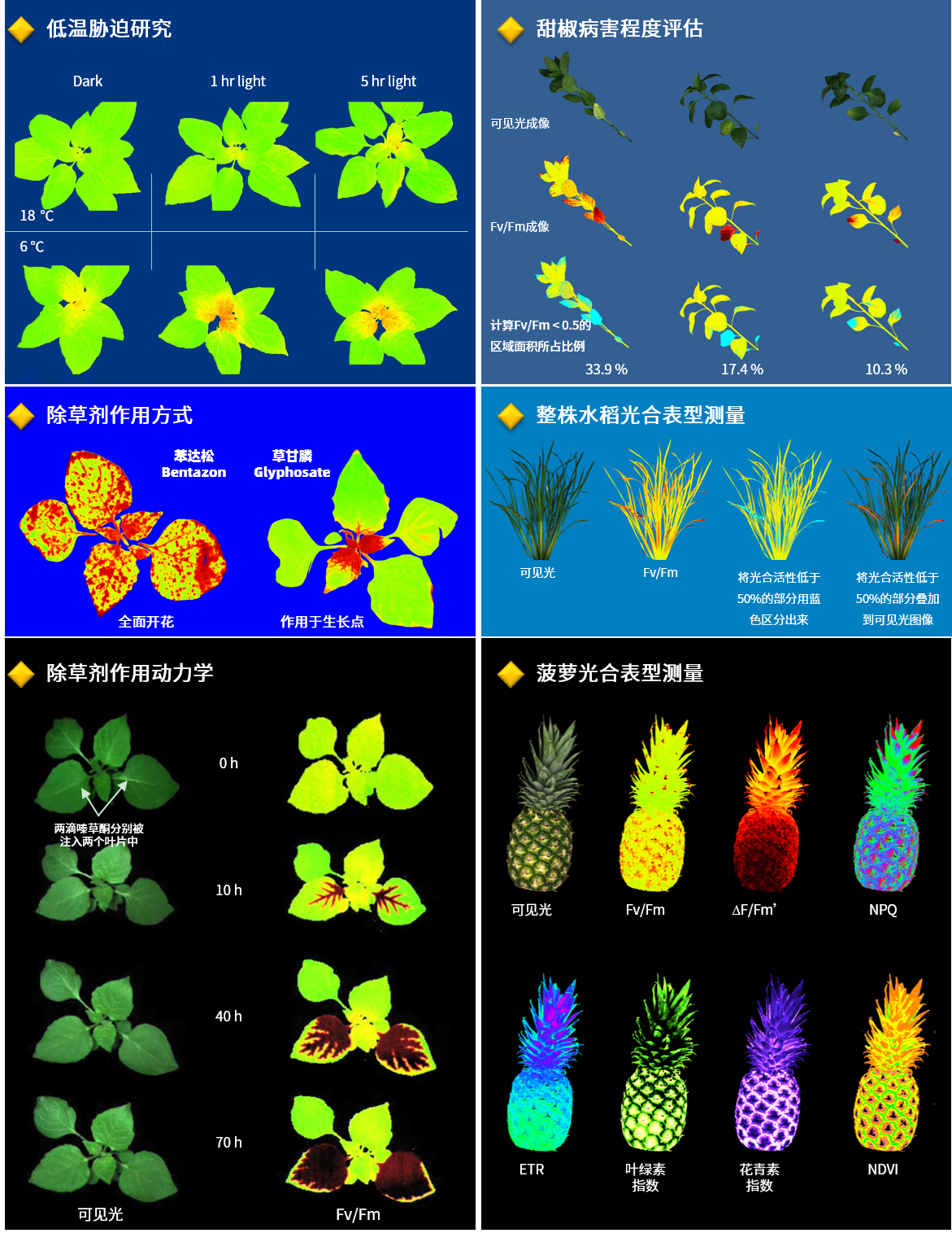 叶绿素荧光与光合表型：原理和应用案例 - 知乎