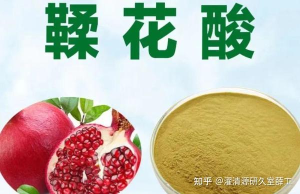 【成分大揭秘】天然美白剂鞣花酸 知乎