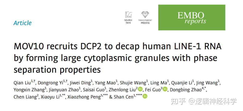 EMBO Reports│中国医学科学院/背景协和医学院岑山/彭小忠/李晓宇/赵东兵团队合作揭示MOV10通过相分离作用募集DCP2促进 ...