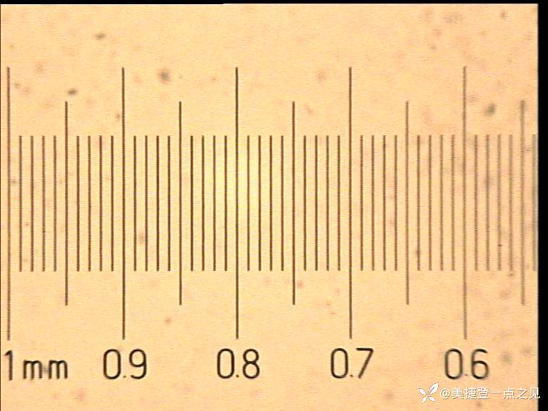 建议收藏：显微镜不同放大倍数物镜下标尺 - 知乎