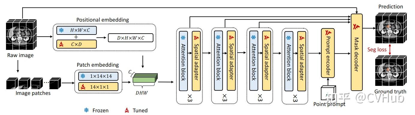 万字长文带你全面解读视觉大模型 - 知乎
