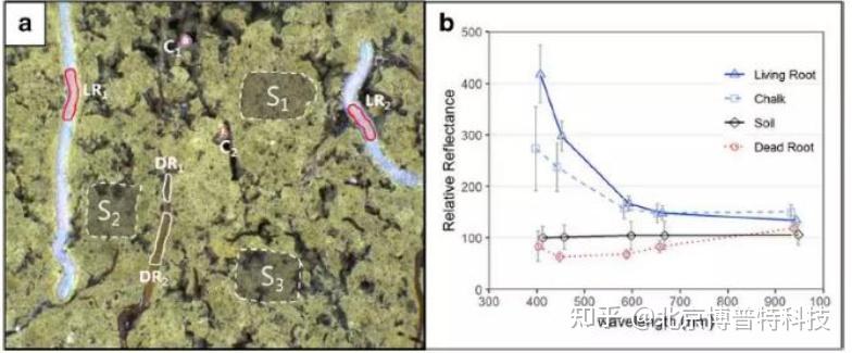 基于Videometer多光谱微根管成像技术的根系表型应用 - 知乎
