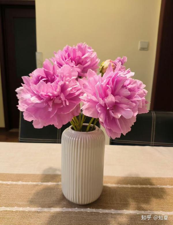 小众朋友圈文案 知乎