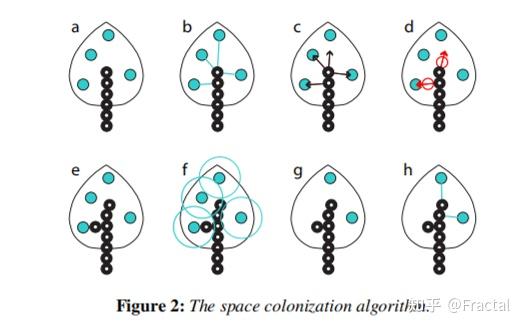 SpaceColonization algorithm in Niagara - 知乎