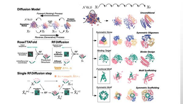 范式再颠覆 | RF Diffusion最强扩散式蛋白设计模型 - 知乎