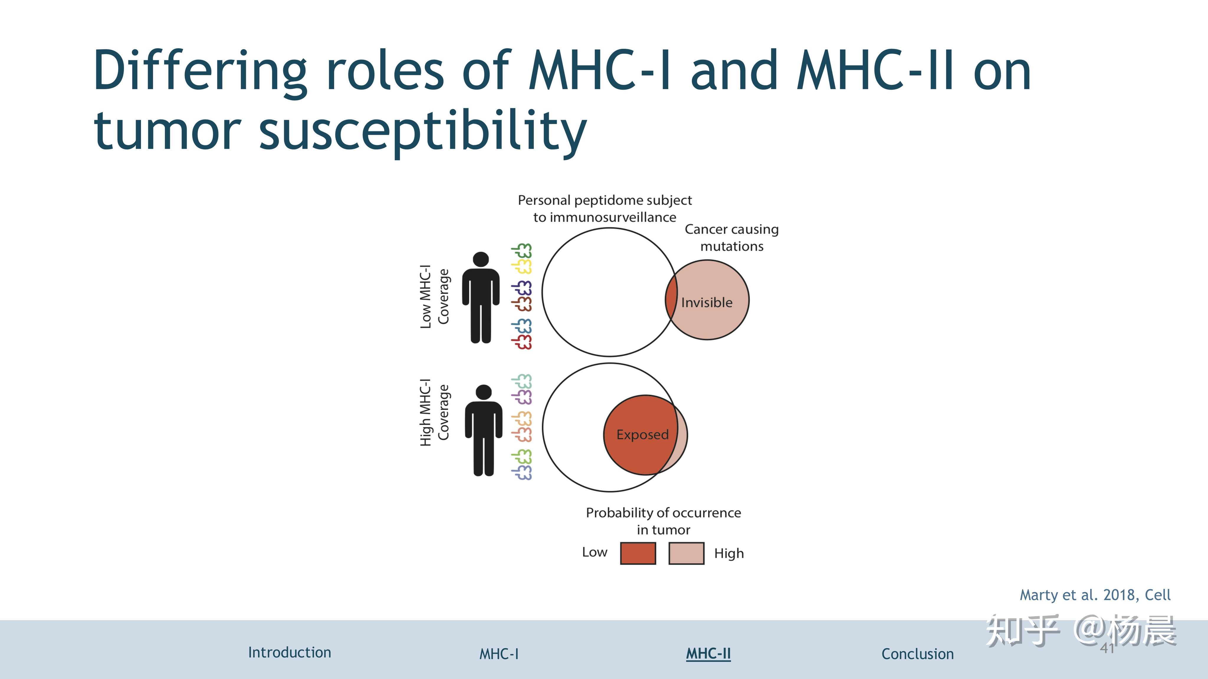 MHC在肿瘤发展过程中的作用 - 知乎