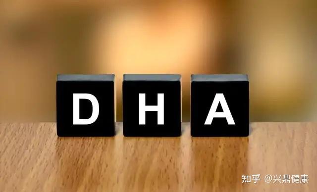 DHA很重要！孕期食物补起来！ - 知乎