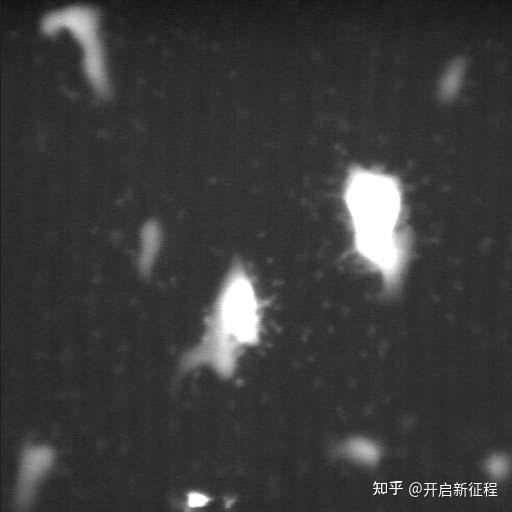 机器视觉常用算法（一）：Blob分析 - 知乎