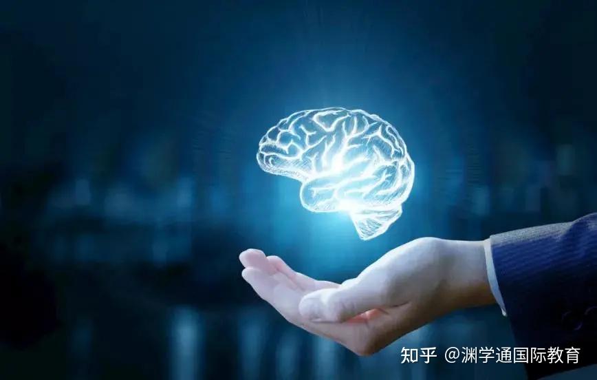火爆圈内的Brain Bee脑科学大赛究竟是什么？