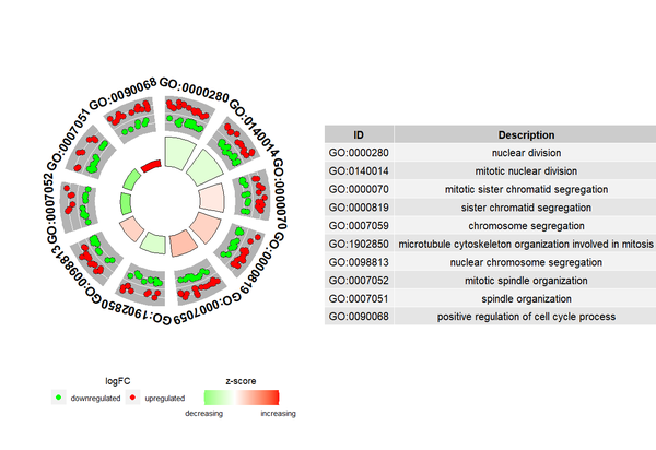 R语言clusterProfiler包GO富集分析（enrichplot包、GOplot包和ggplot2绘图） - 知乎