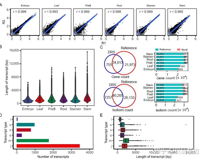 DRS专题：植物Direct RNA测序研究思路及案例详解 - 知乎